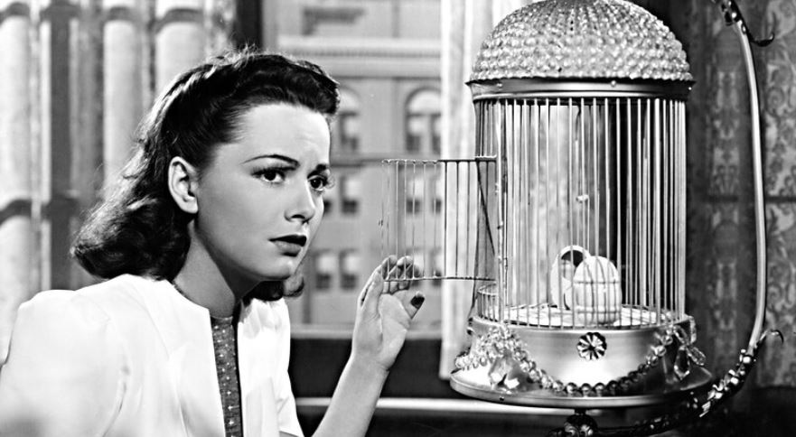 Princess O’Rourke (1943): Escaping the Gilded Cage - Melanie Novak